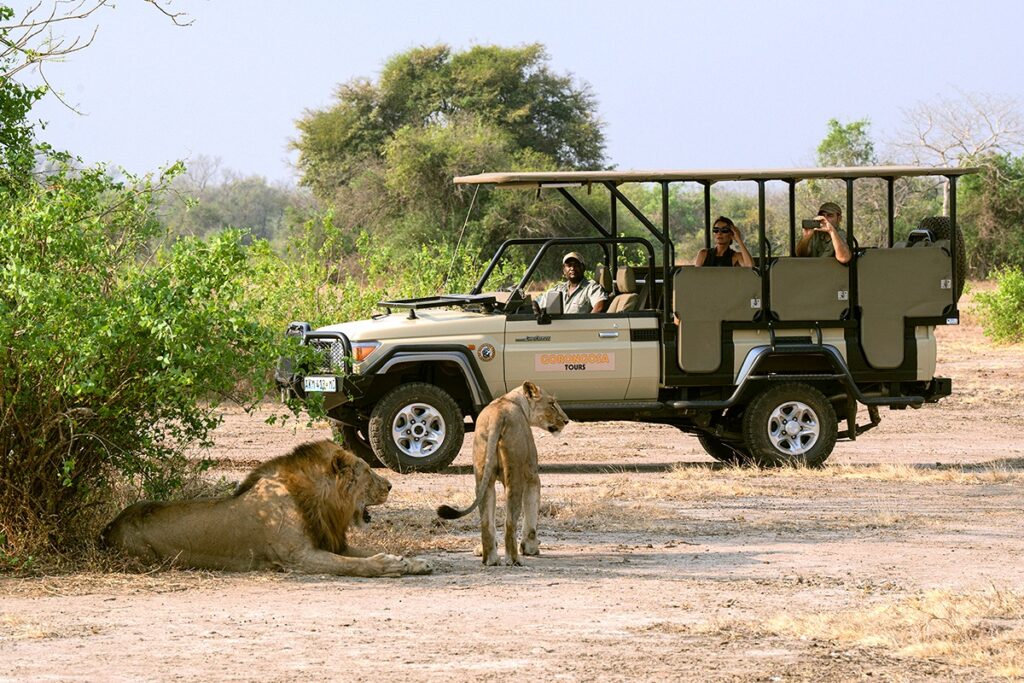 Travel Guide | Gorongosa National Park